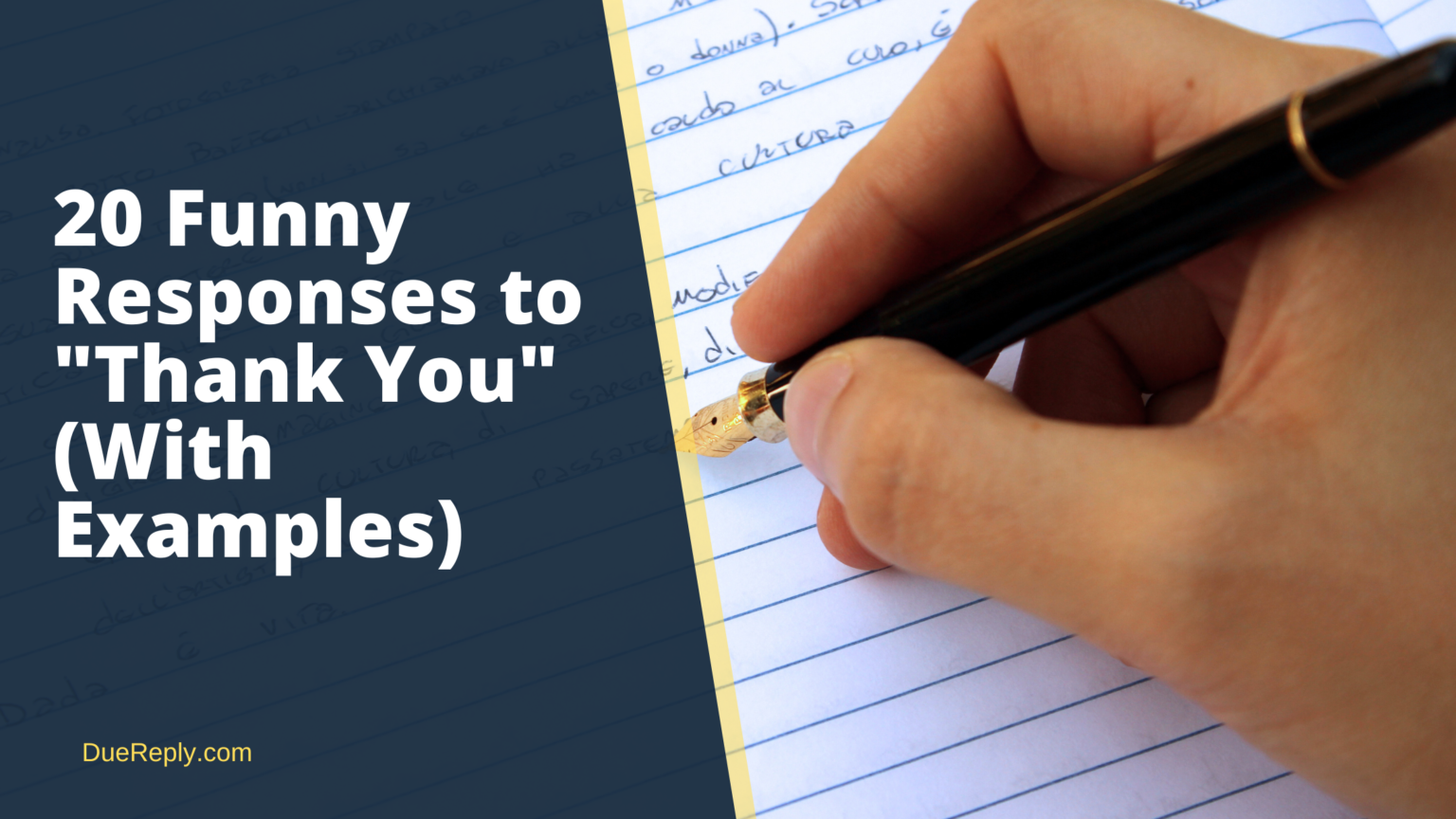 20 Funny Responses to "Thank You" (With Examples) - DueReply