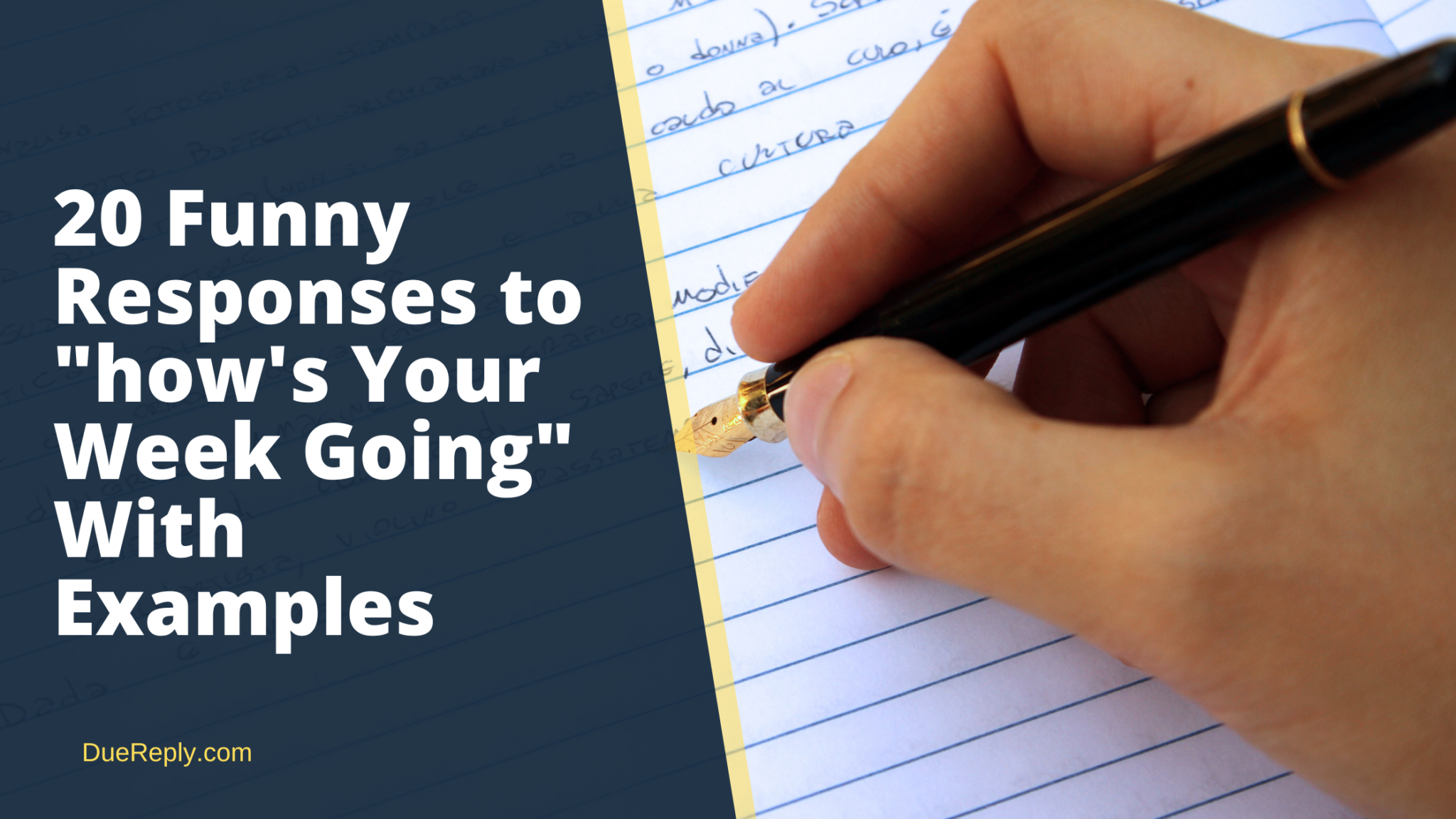 20 Funny Responses to "How's Your Week Going" With Examples - DueReply